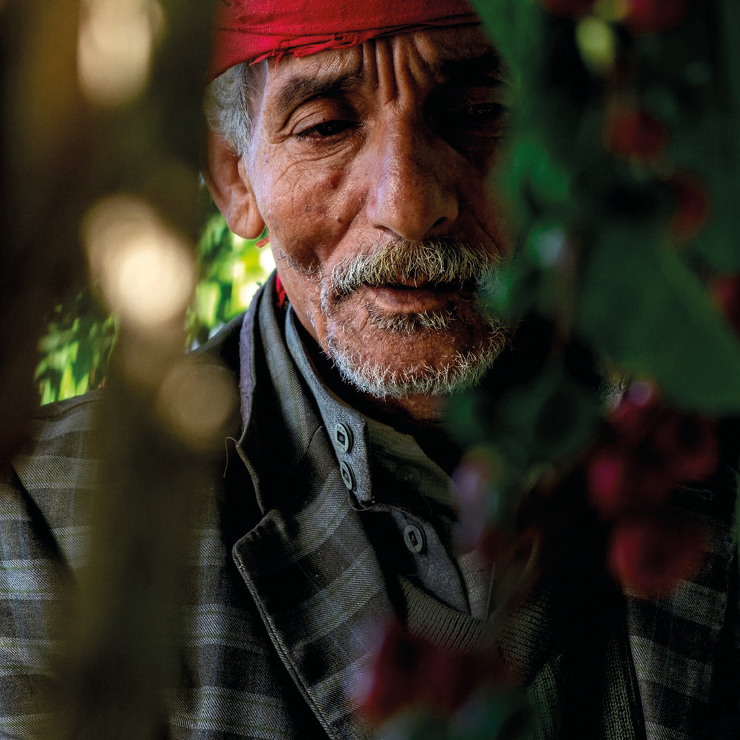 What Makes Qima café Different – Qima Cafe